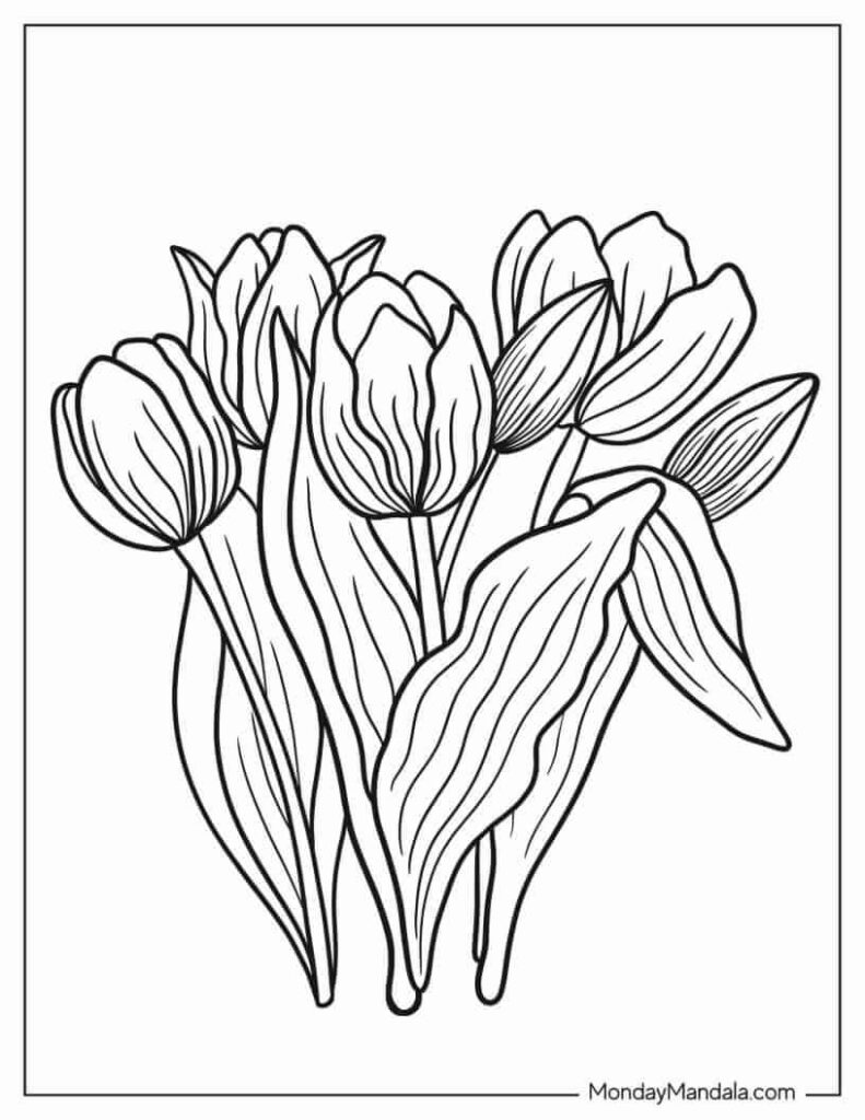 34 Gambar Mewarnai Bunga Tulip yang Indah & Menarik - Inspirilo