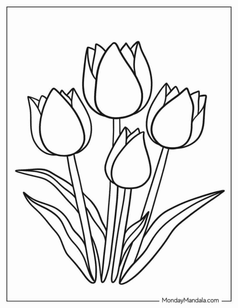 34 Gambar Mewarnai Bunga Tulip yang Indah & Menarik - Inspirilo